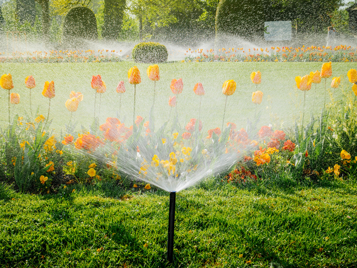 Commercial Irrigation Installation: Haughton, Stonewall & Shreveport ...